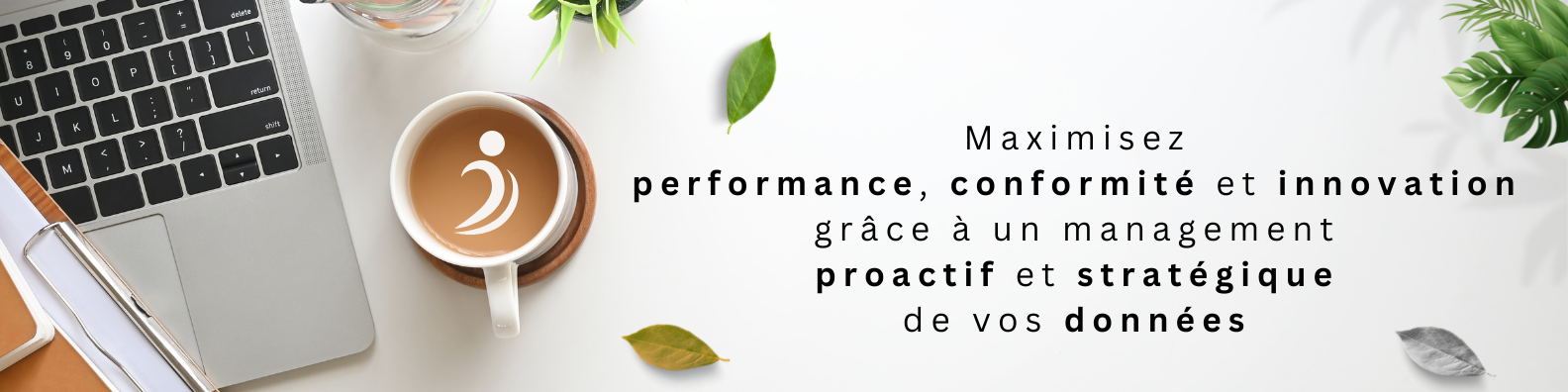 Dolce Data Conseil - Libérons le génie de vos données